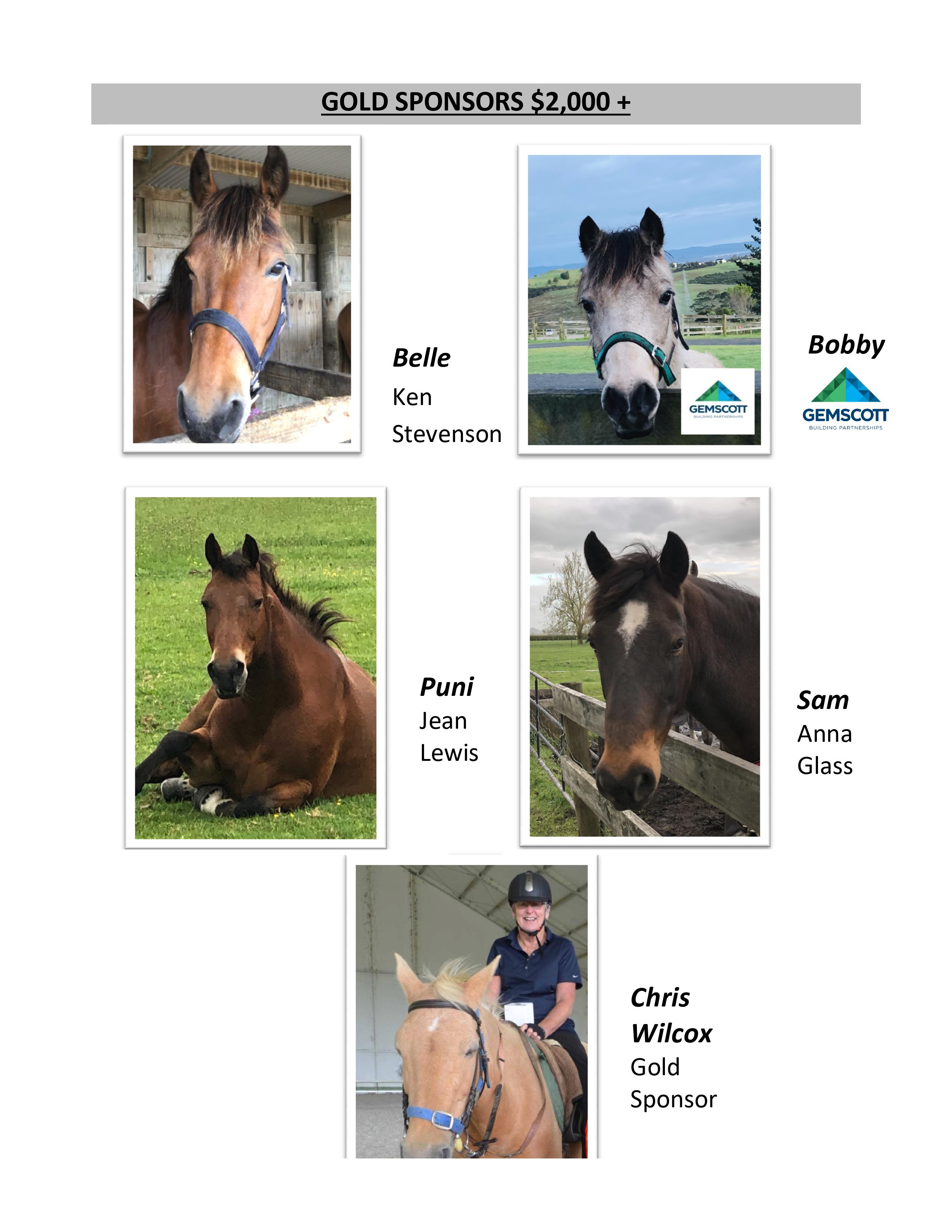 Horse Sponsors